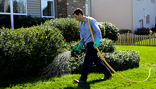 All Services – Texas Lawn Tech